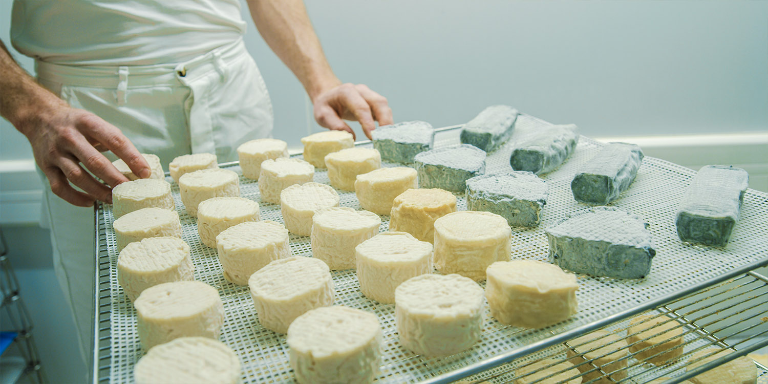 WELCOME - FASTFOKUS | Filmmaking company